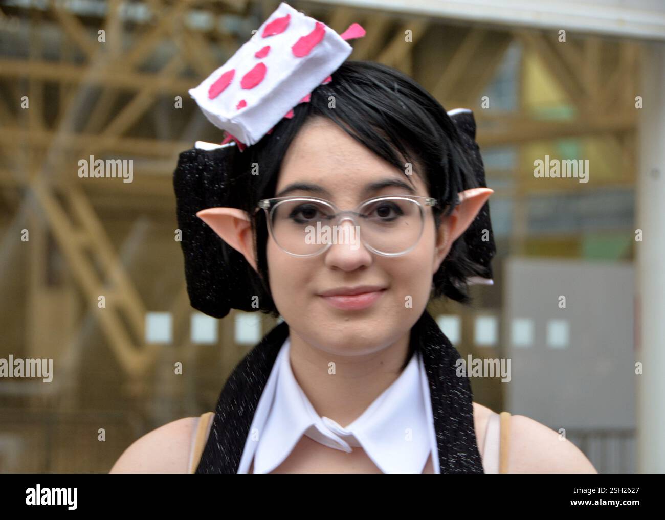 Italy : Nerd Show 2025,event in Bologna,February 1,2025 Stock Photo - Alamy