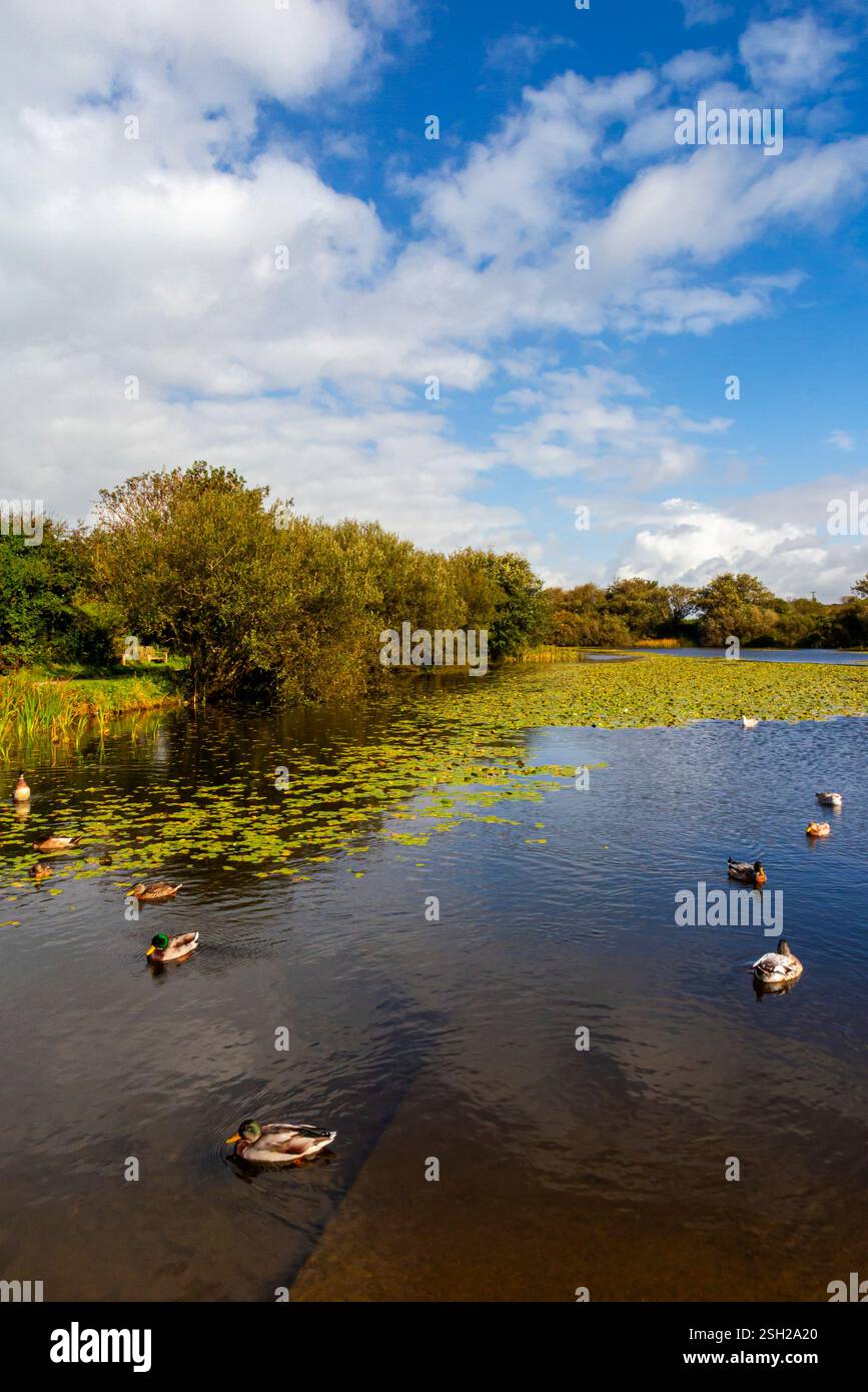 Holyhead Breakwater Country Park opened in 1990 on the site of an old ...