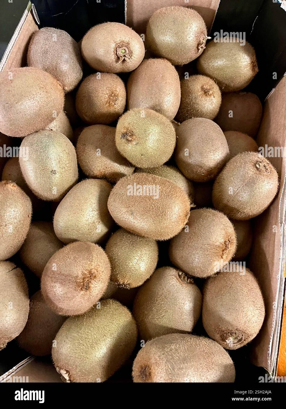 kiwi, cardboard crate, fruits, warehouse, storage, crate, food, supply ...