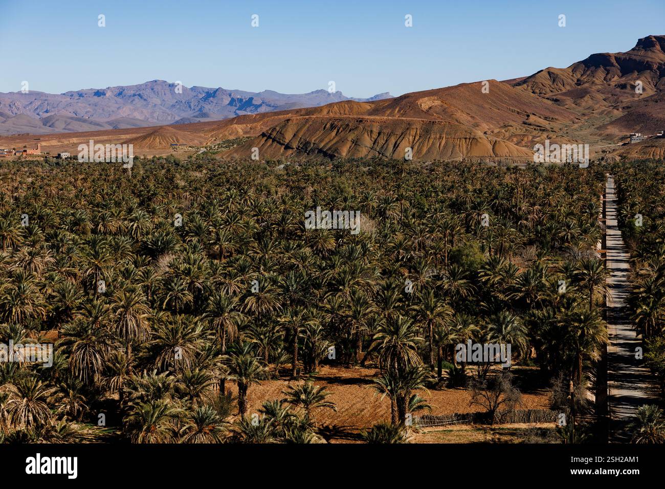 Traveling around Morocco, palm tree grove in oasis, and beautiful ...