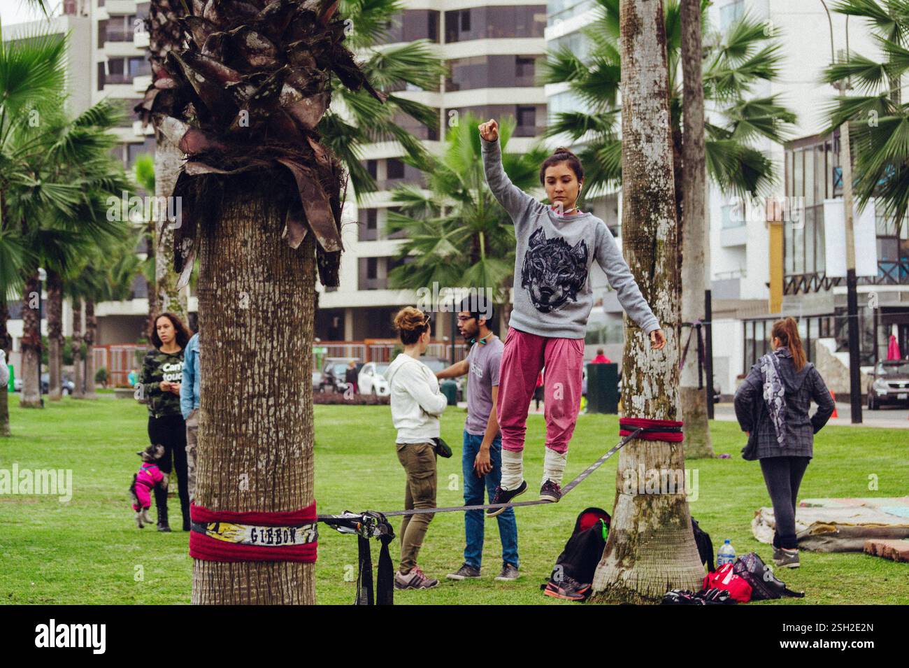 Woman Balancing on a Slackline Between Trees in a Park – Miraflores ...