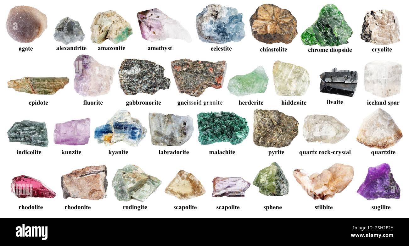 specimens of various rough rocks with names cut out on white background ...