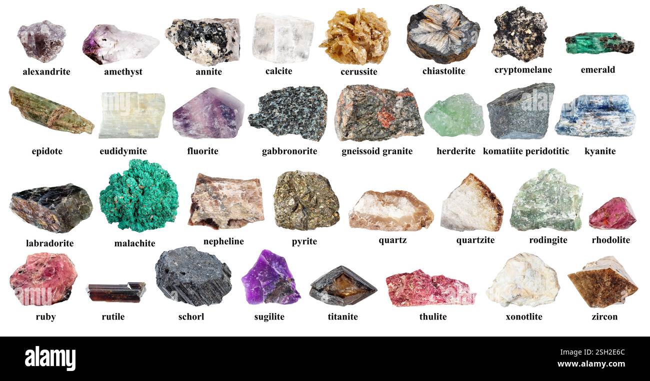 specimens of various rough minerals with names cut out on white ...