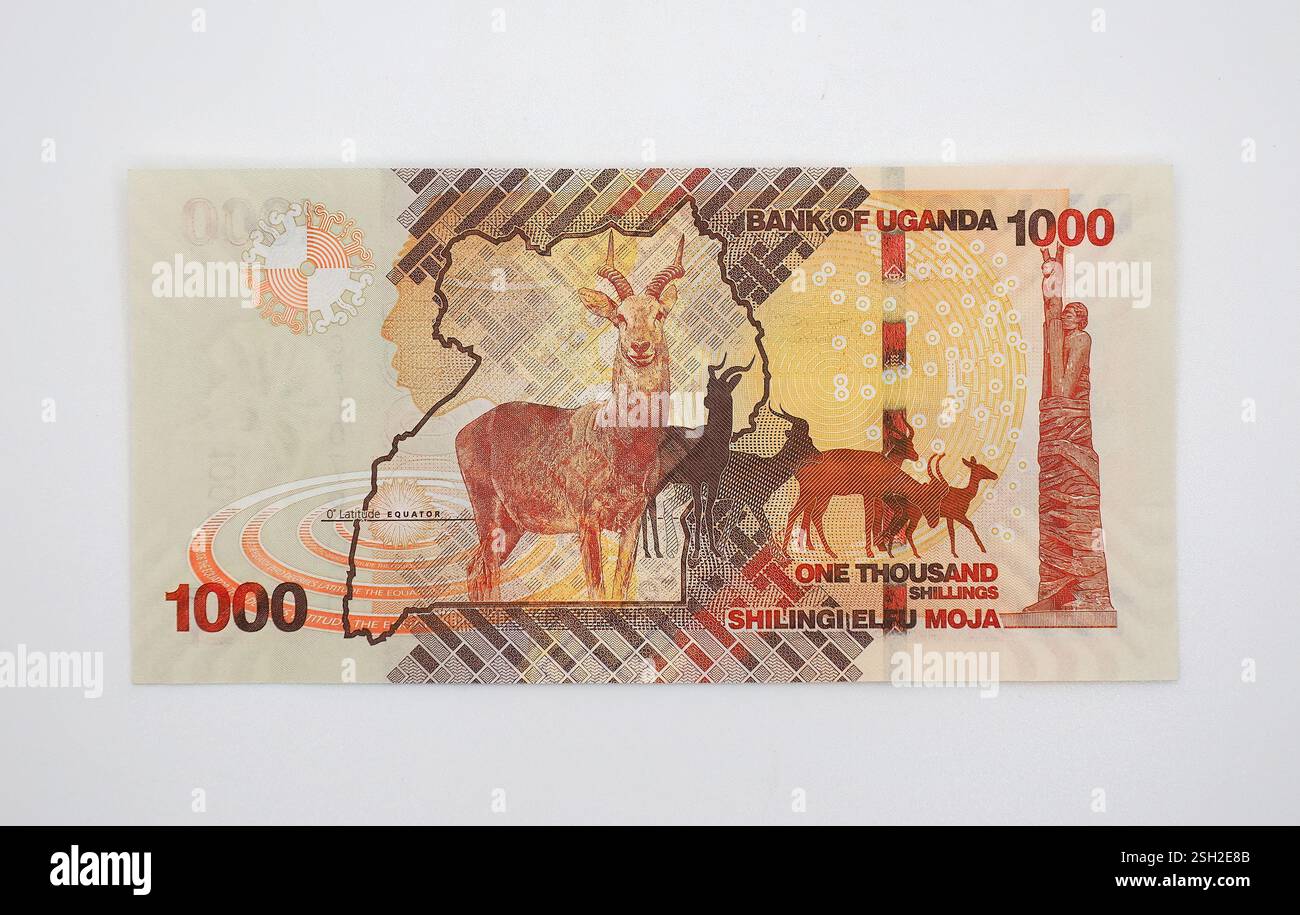 1000 Shillings banknote, Ugandan shilling, UGX, Uganda, East Africa ...