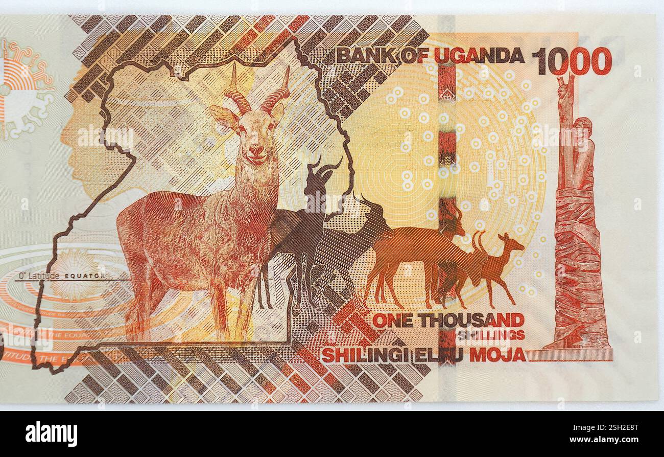 1000 Shillings banknote, Ugandan shilling, UGX, Uganda, East Africa ...