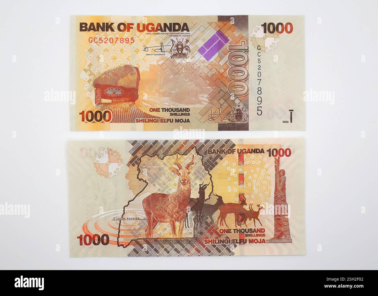 1000 Shillings banknotes, Ugandan shilling, UGX, Uganda, East Africa ...