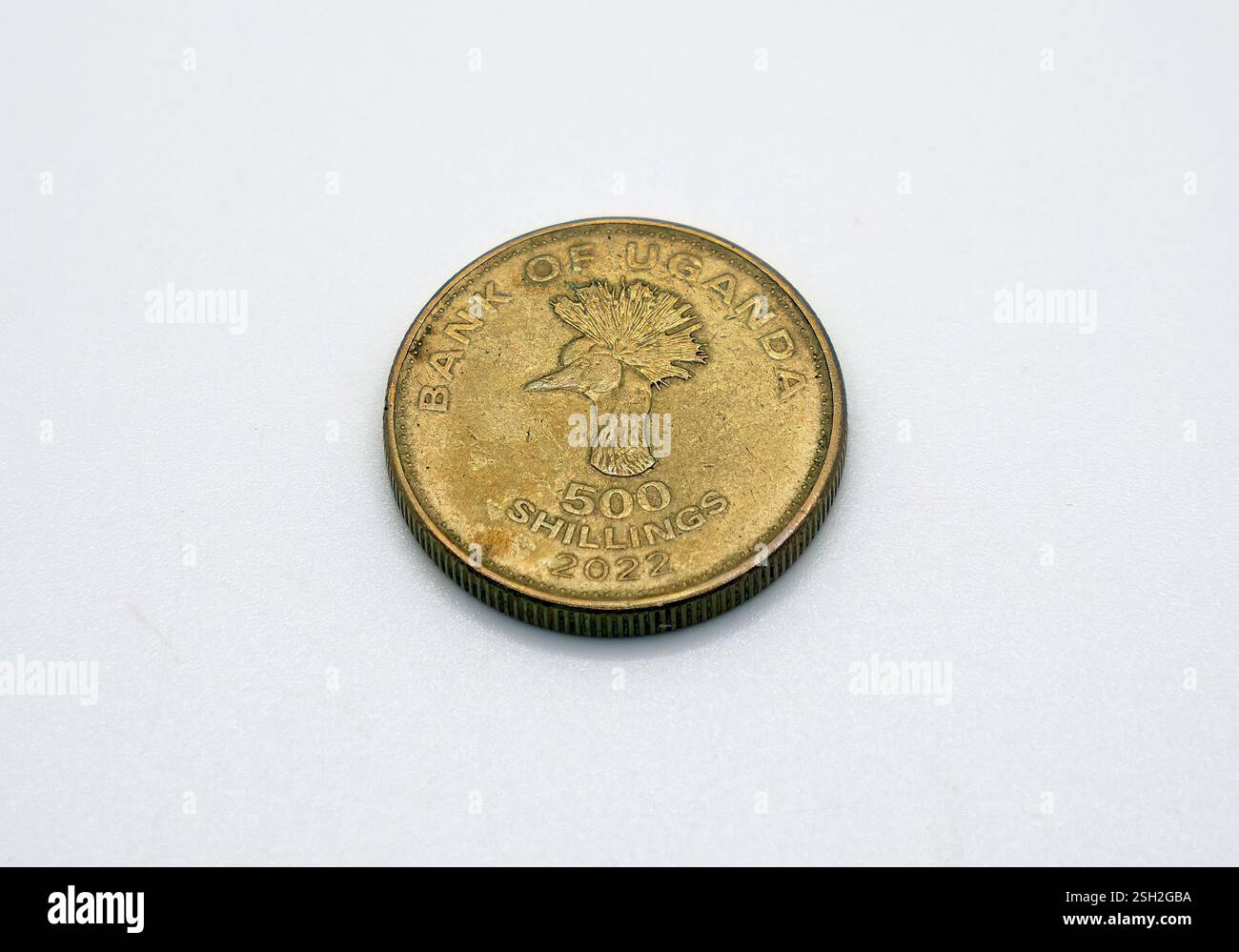 500 Schillings coin, Ugandan shilling, UGX, Uganda, East Africa Stock Photo - Alamy