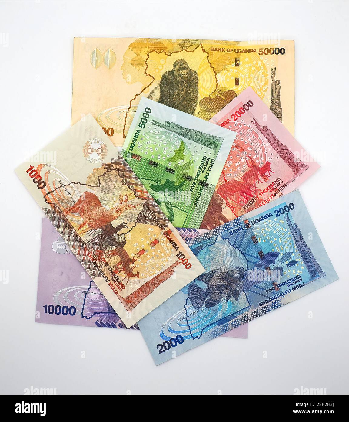 Ugandan shilling banknotes, UGX, Uganda, East Africa Stock Photo - Alamy