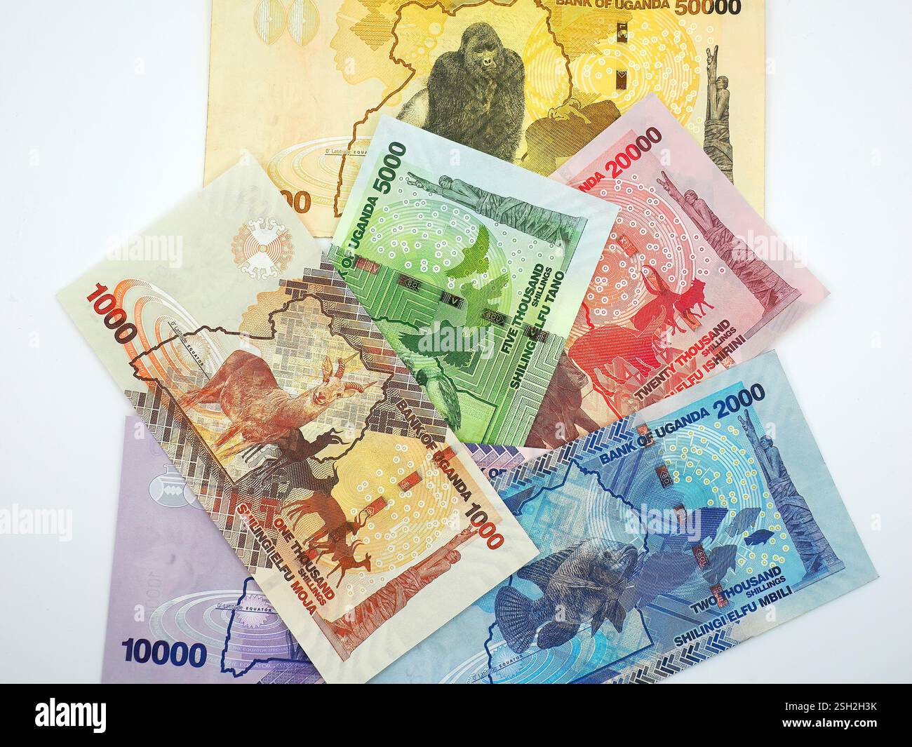 Ugandan shilling banknotes, UGX, Uganda, East Africa Stock Photo - Alamy