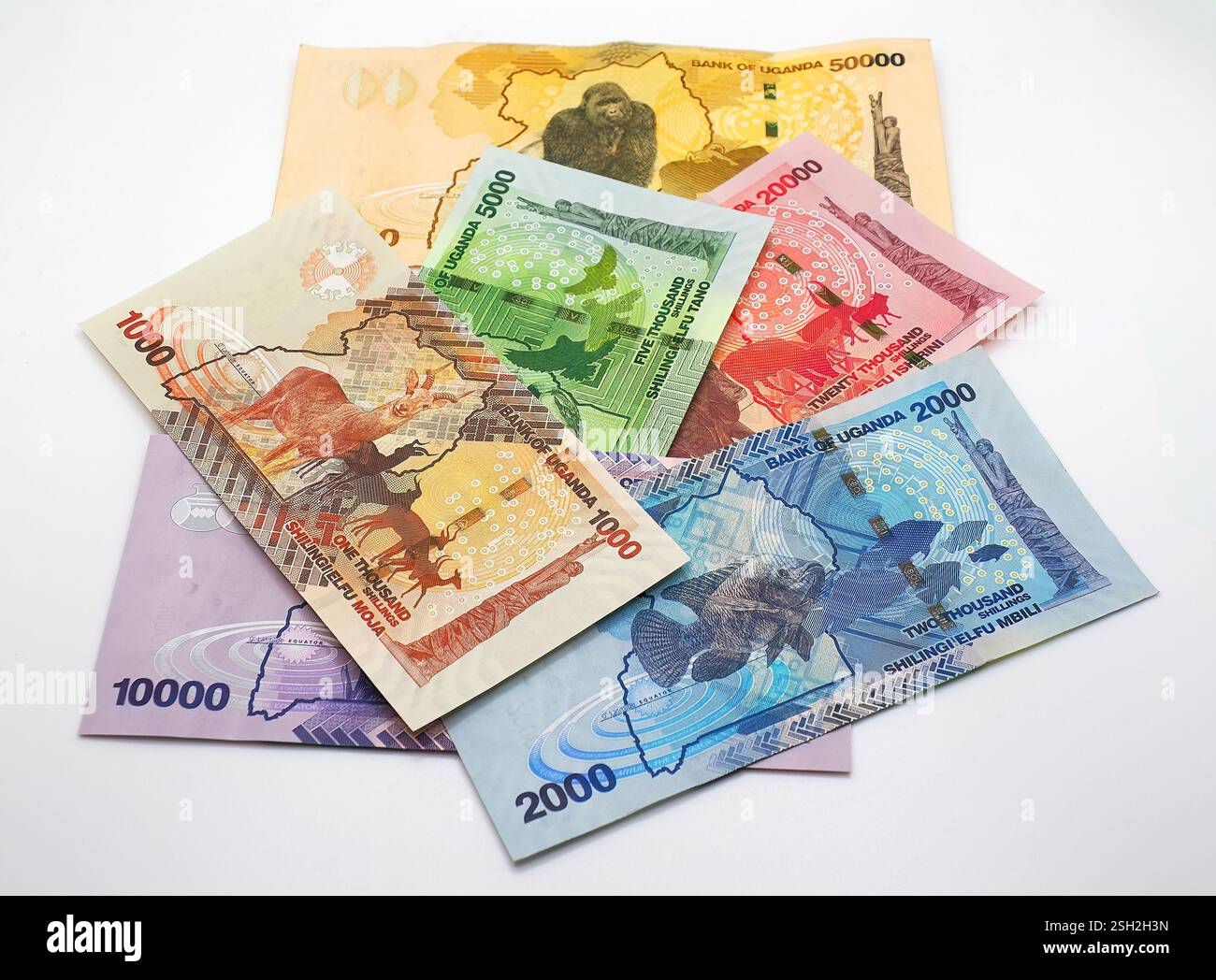 Ugandan shilling banknotes, UGX, Uganda, East Africa Stock Photo - Alamy