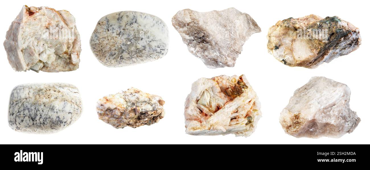 various specimens of uncut albite rocks cutout on white background ...