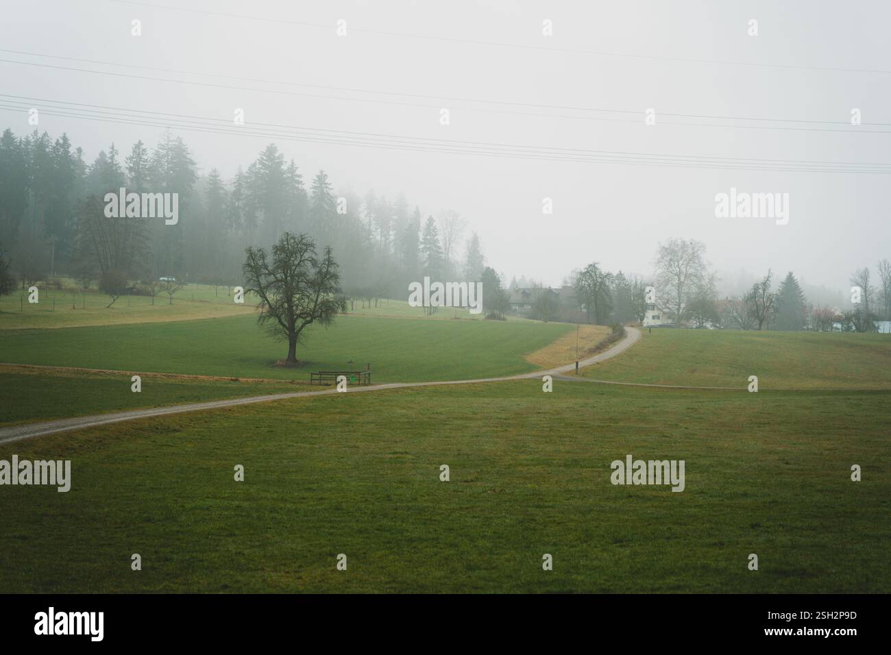 Open countryside walk hi-res stock photography and images - Alamy