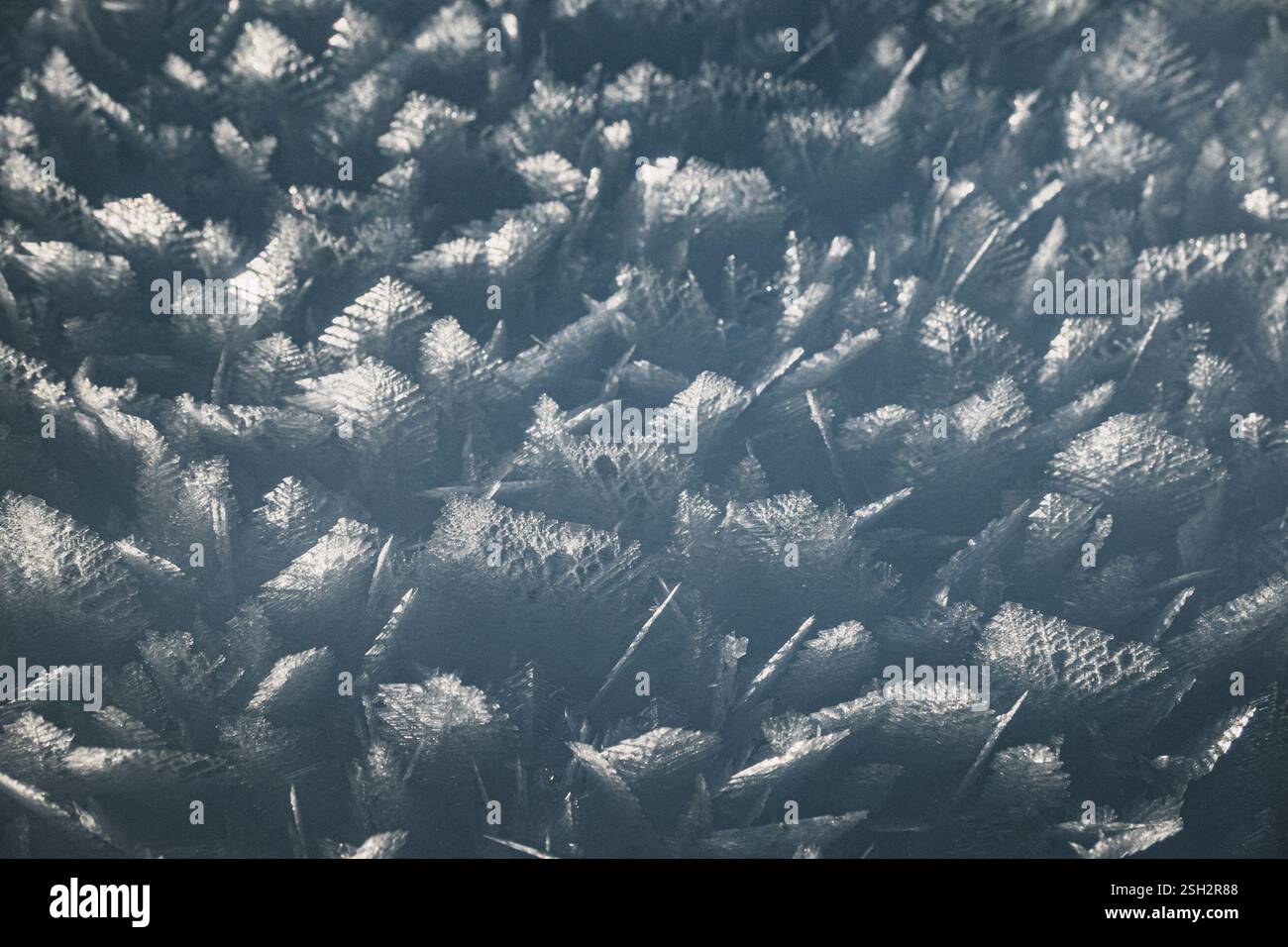 Snow icy flakes on the ground Stock Photo - Alamy