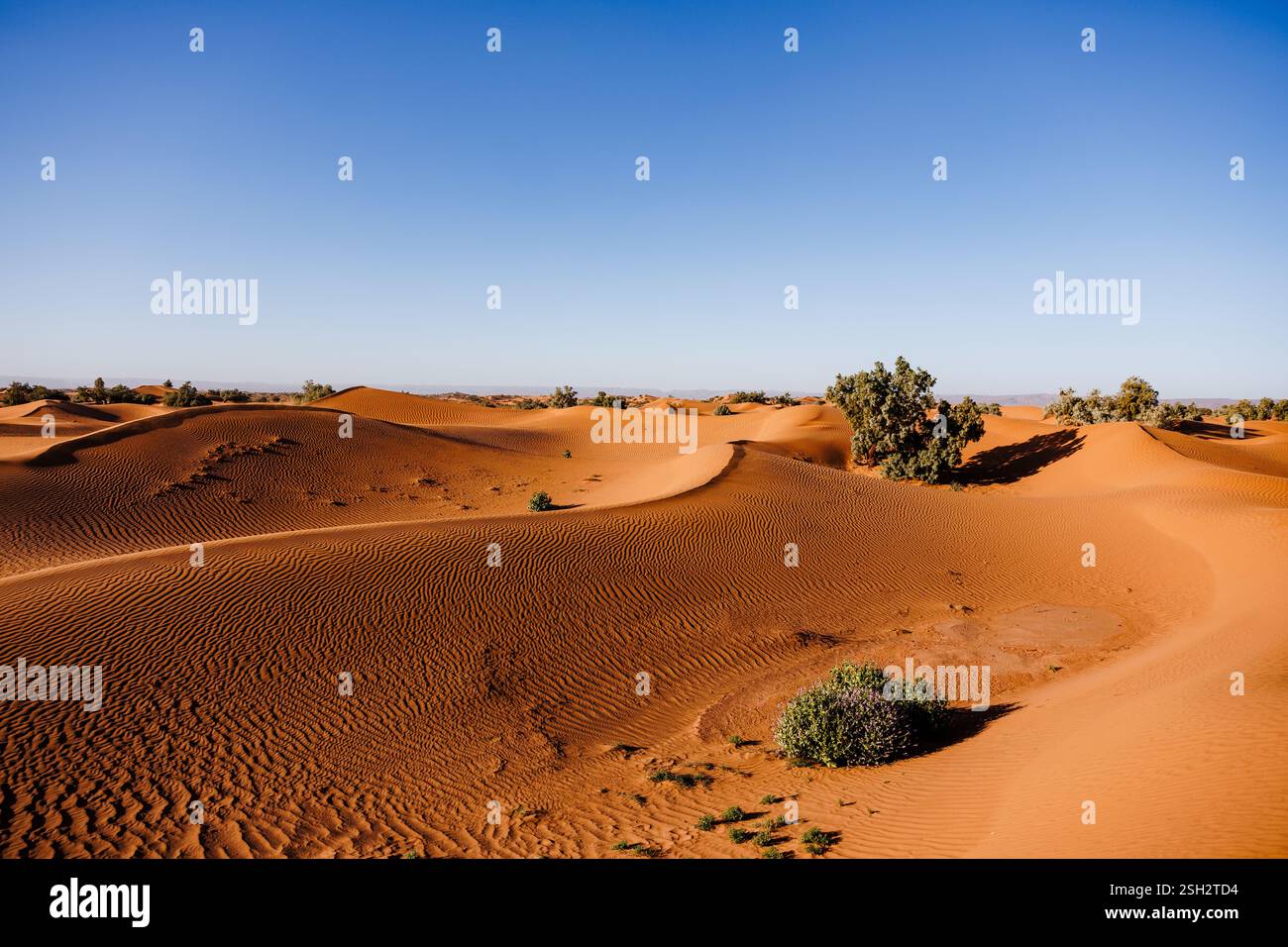 Sahara desert landscape, amazing experience in Morocco, shadows of ...