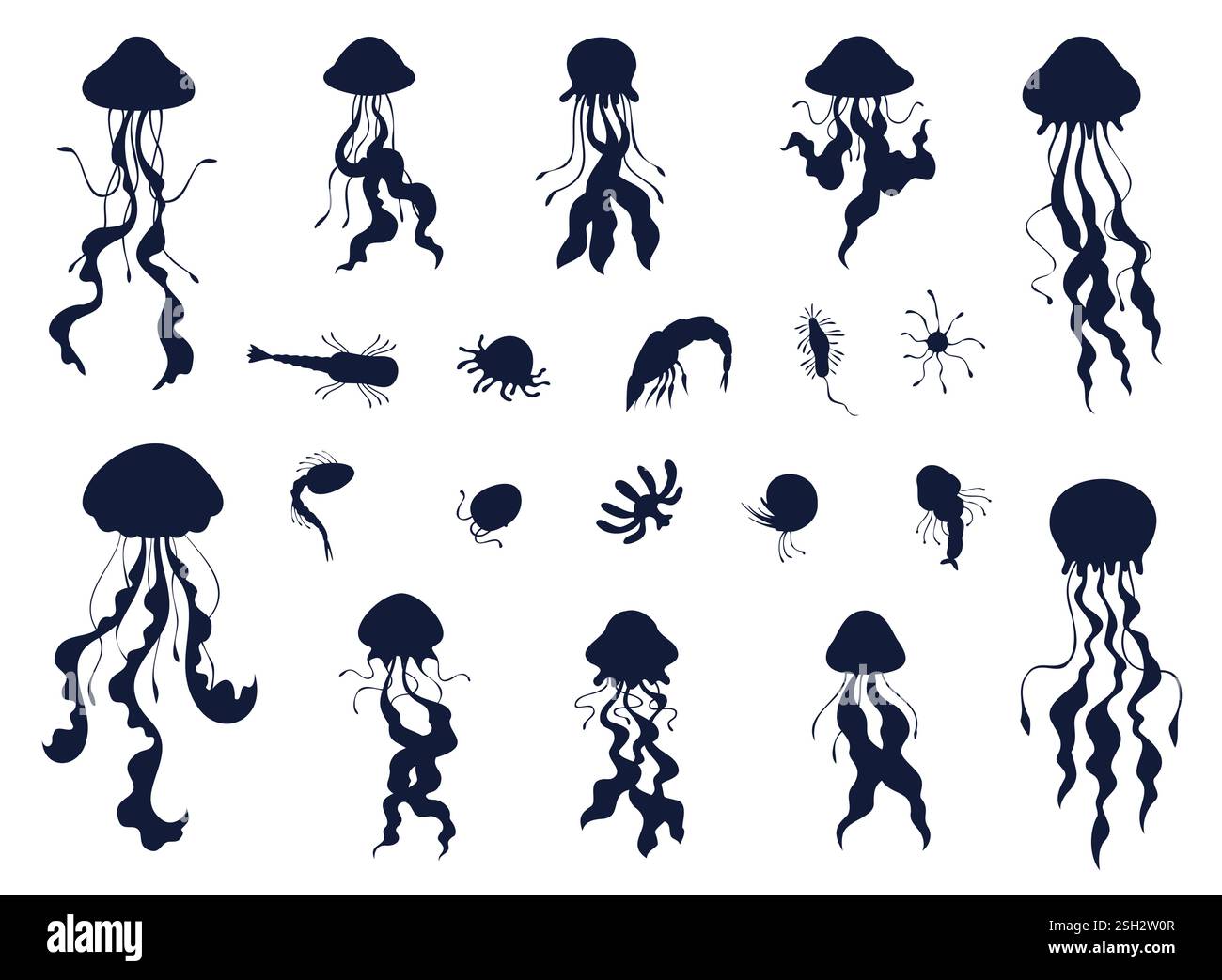 Set jellyfish and plankton silhouettes. Water ocean animals, underwater ...