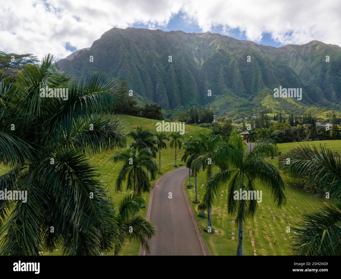 Palm Lined Road and Ko olau Mountain Range on Oahu Island, Hawaii Stock ...