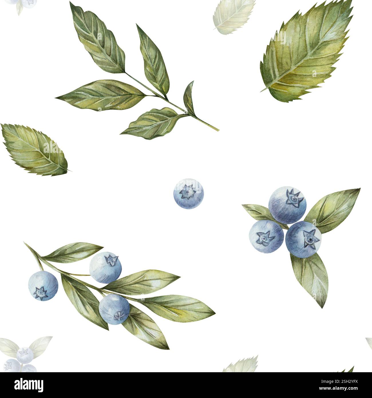 Blueberry. seamless pattern with watercolor blueberries and twigs with ...