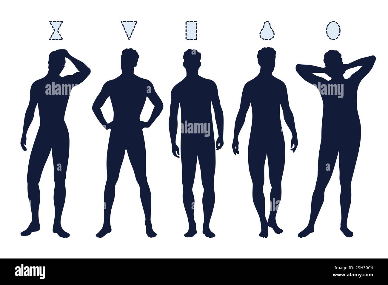 Male figure types silhouette. Men body structure, geometric shape ...