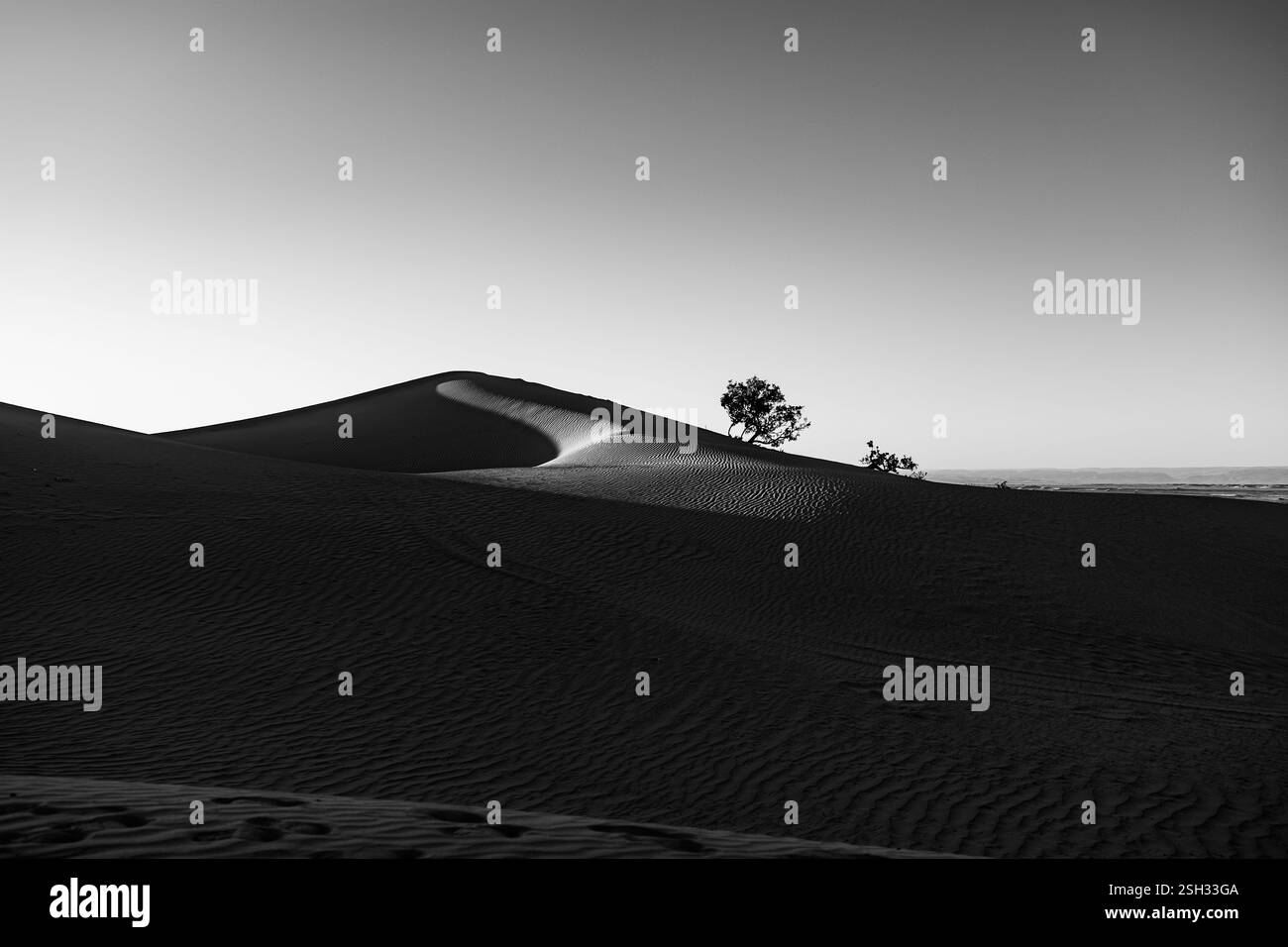 Sahara desert landscape, amazing experience in Morocco, outdoor and raw ...