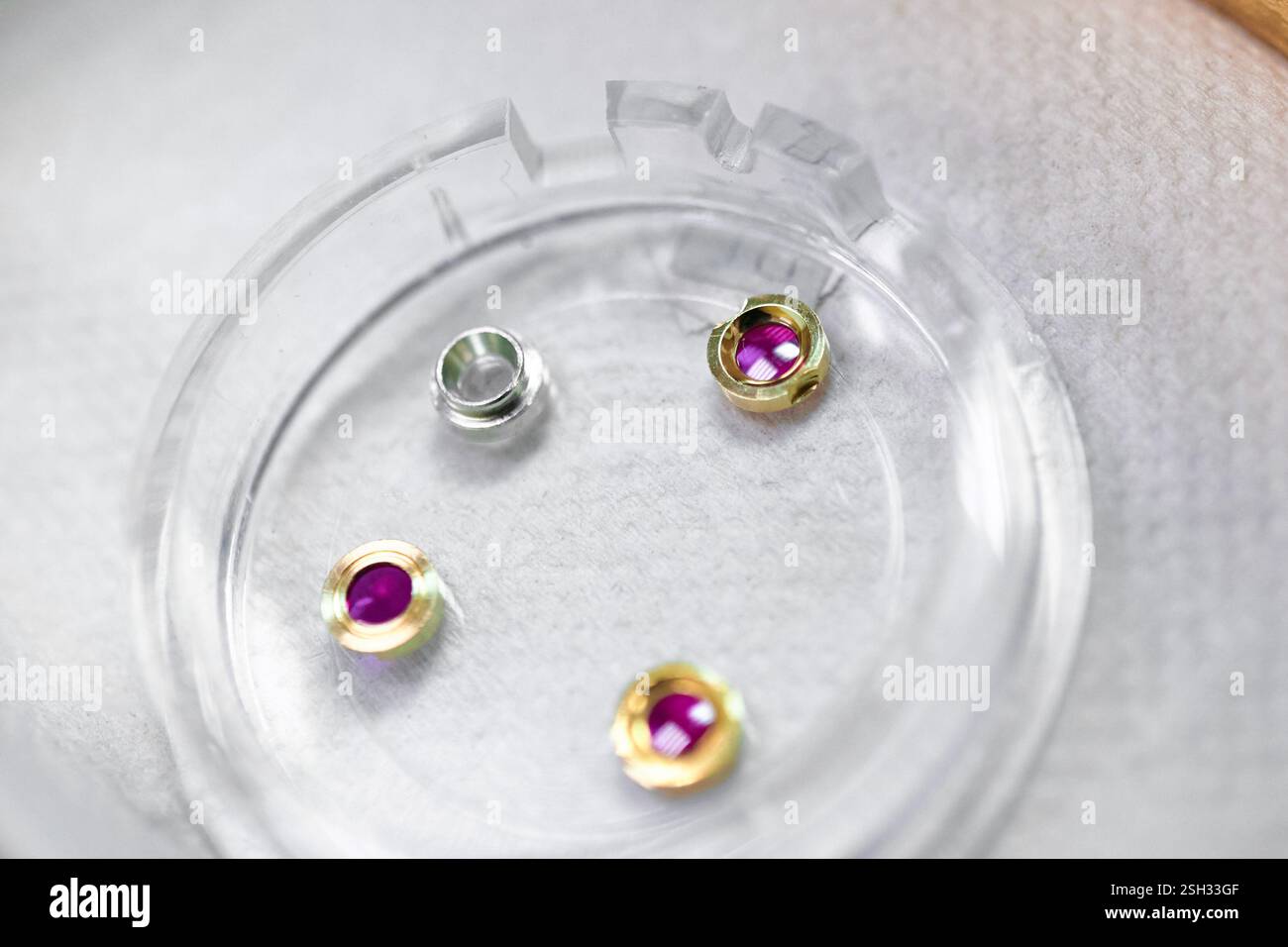 Delicate ruby bearings delicately crafted for precision in watch ...