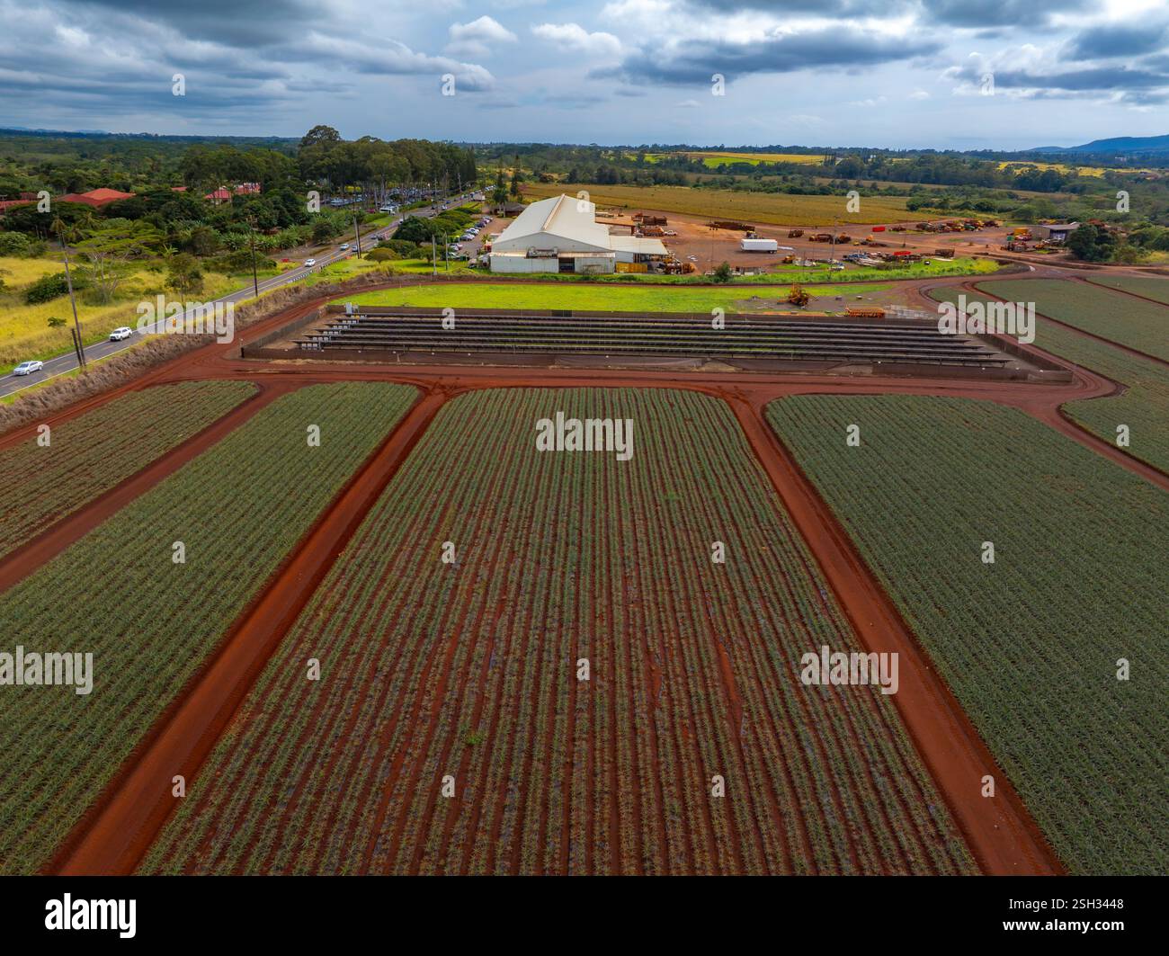 Aerial View of Dole Pineapple Plantation on Oahu Island, Hawaii Stock ...