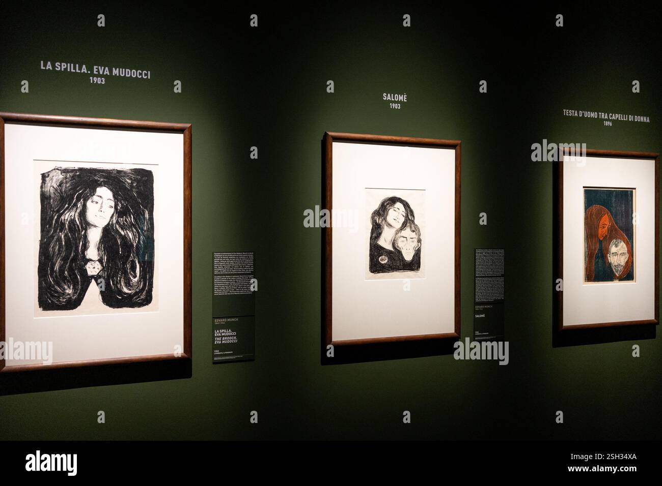 Rome, Italy. 10th Feb, 2025. Press preview of the exhibition "Munch ...