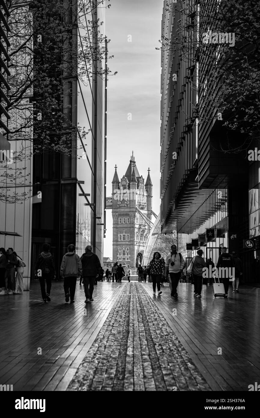 London tower bridge city night Black and White Stock Photos & Images ...