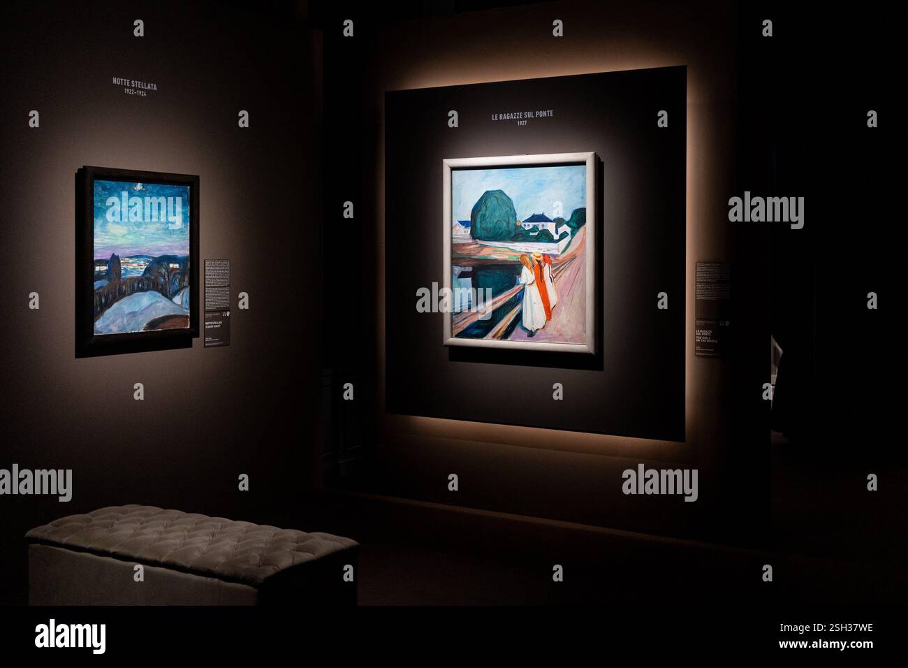 Rome, Italy. 10th Feb, 2025. Press preview of the exhibition "Munch ...