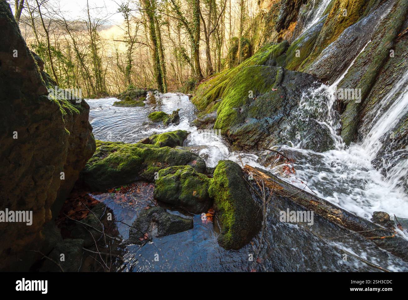 Bosque de altube hi-res stock photography and images - Alamy