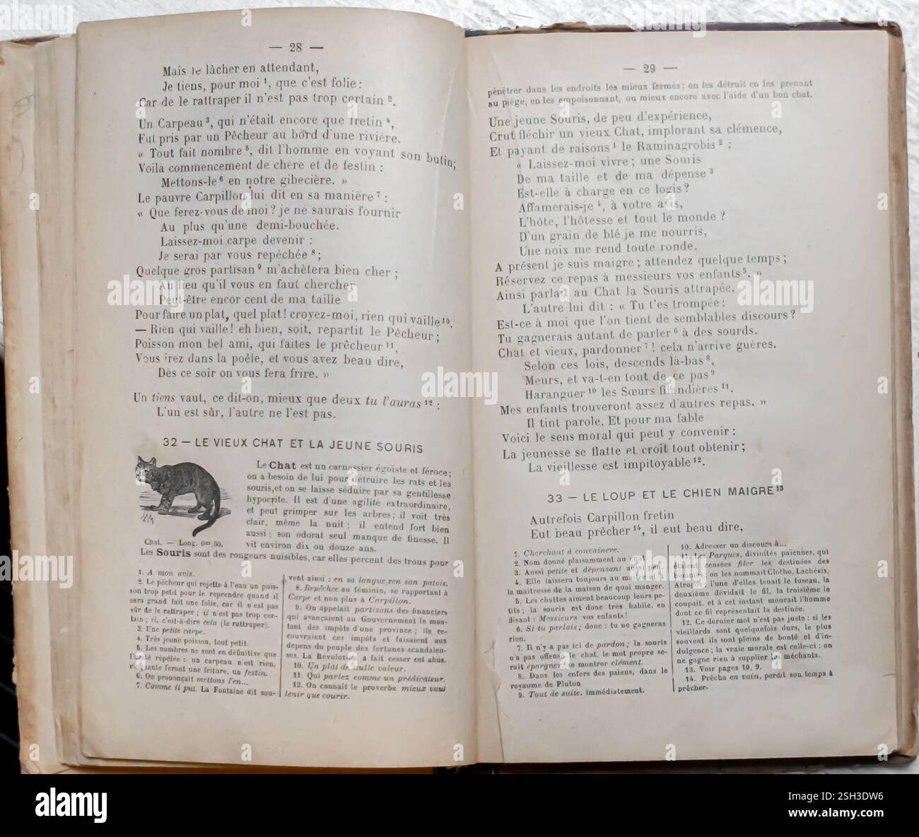 Fables de la fontaine souris hi-res stock photography and images - Alamy