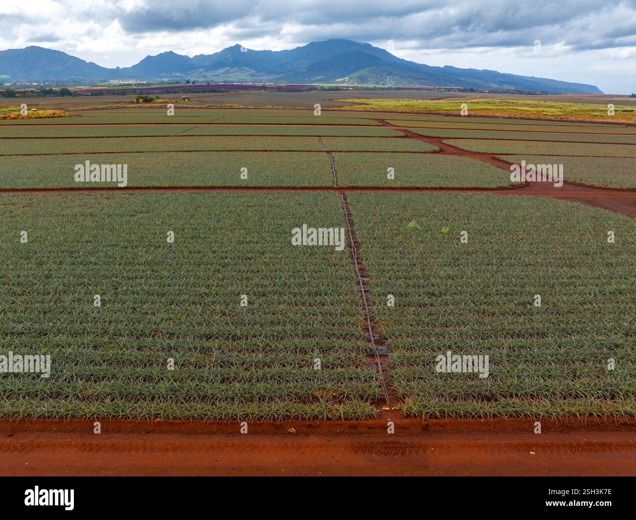 Aerial View of Pineapple Plantation and Mountains in Oahu, Hawaii Stock ...