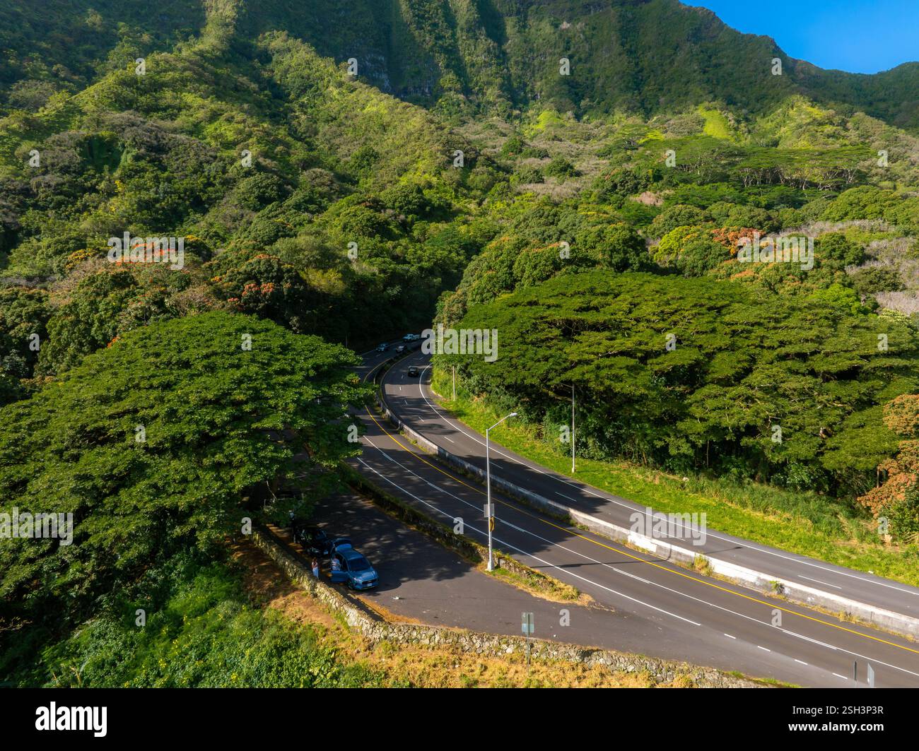 Winding Road Through Tropical Vegetation on Oahu Island, Hawaii Stock ...