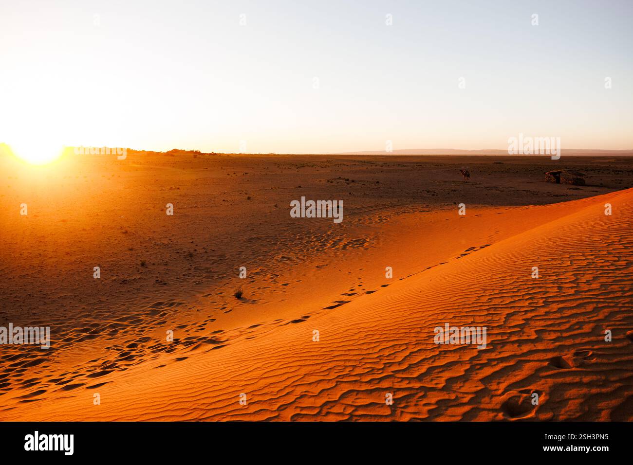 Experiencing sunset in the Sahara desert, amazing nature in Africa ...