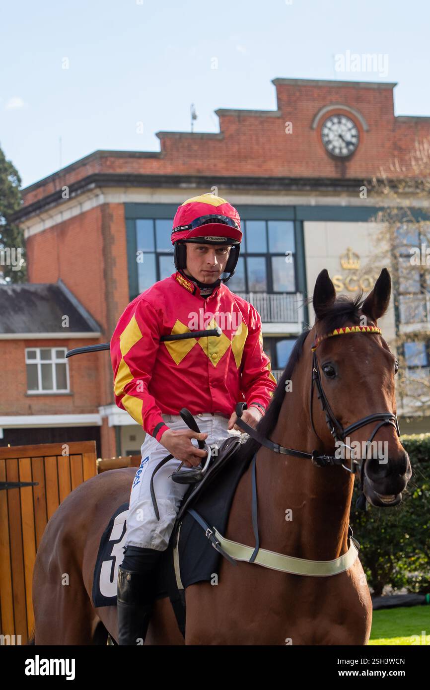 Tottie family hi-res stock photography and images - Alamy