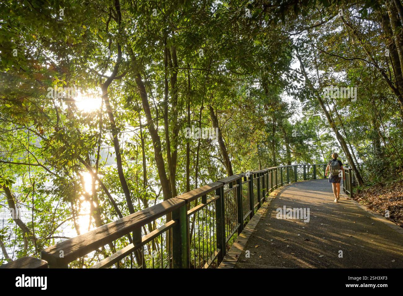Wanderweg am Sonne-Mond-See, Yuchi Township, Nantou County, Taiwan ...