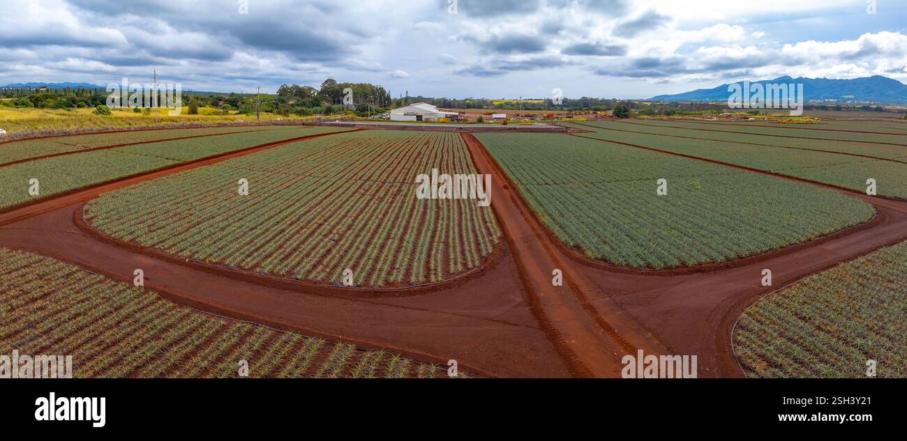 Methodical layout hi-res stock photography and images - Alamy