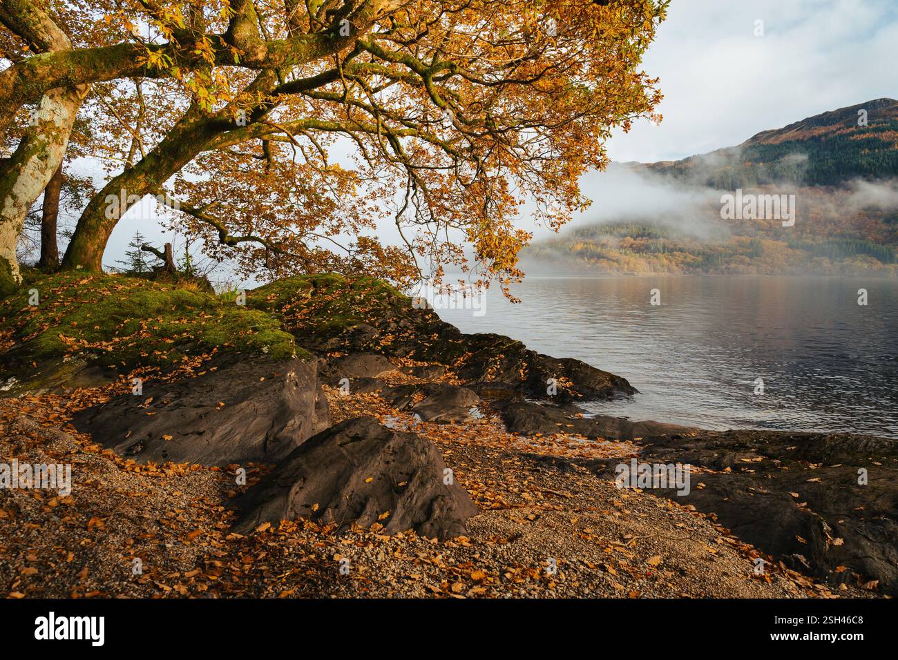 Autumn Loch Lomond - Scotland, UK Stock Photo - Alamy
