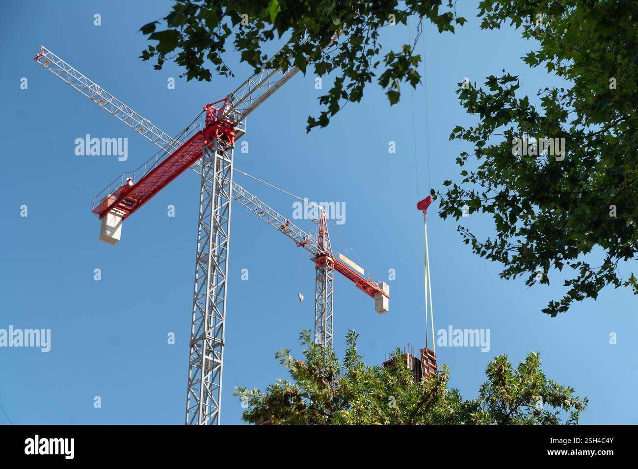 Group of tower cranes on construction site among green tree leaves ...
