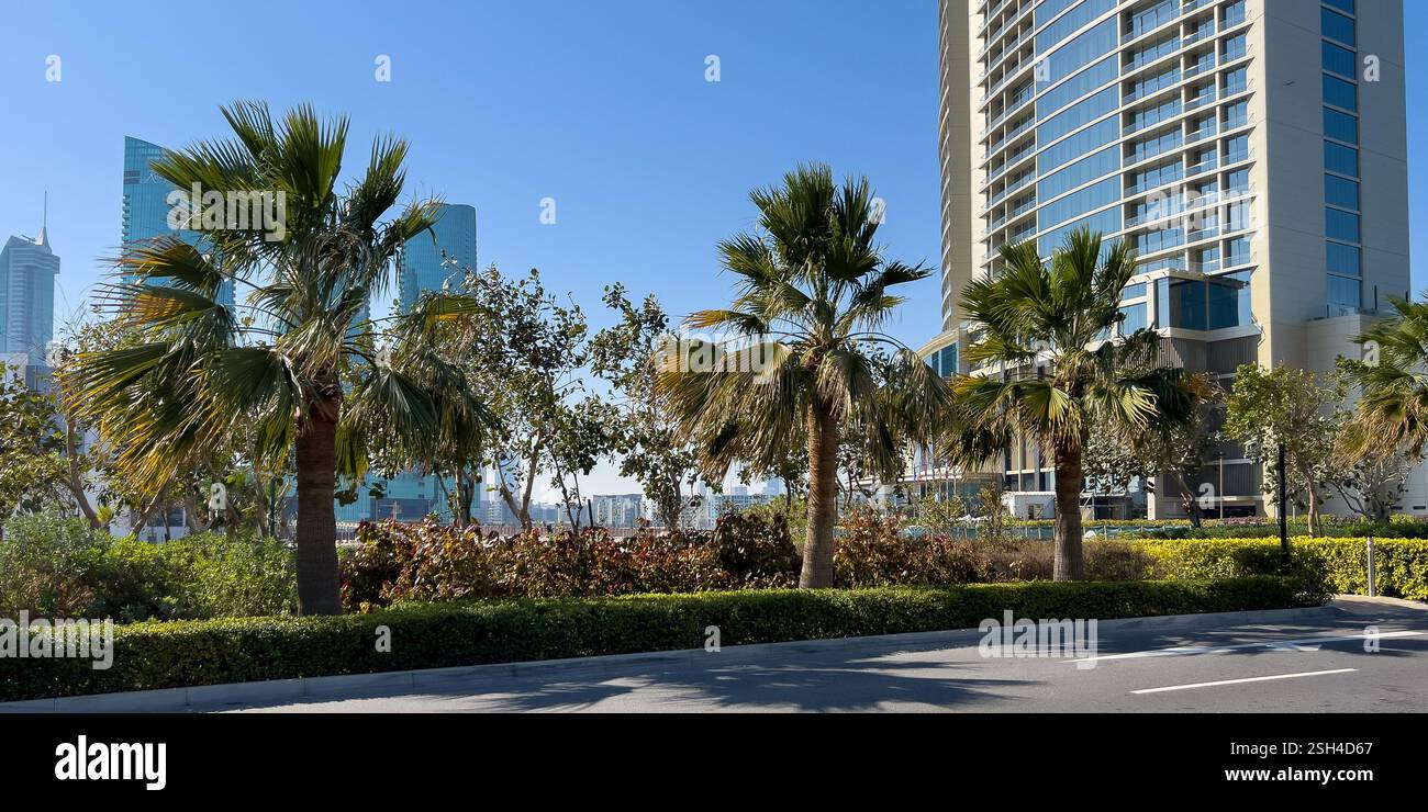 Manama, Bahrain - January 5, 2025: A scenic view of palm trees and ...