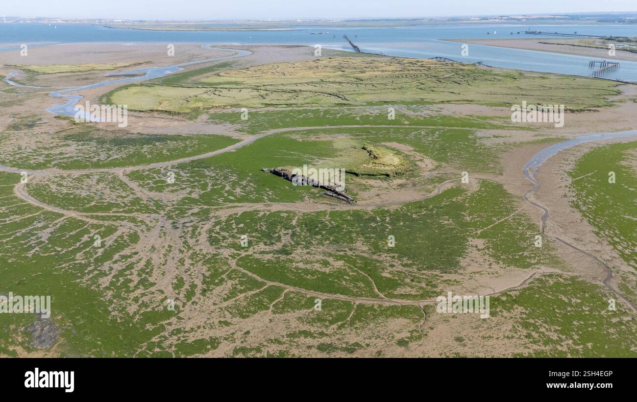 Aerial view of a coastal marshland with green vegetation, winding water ...