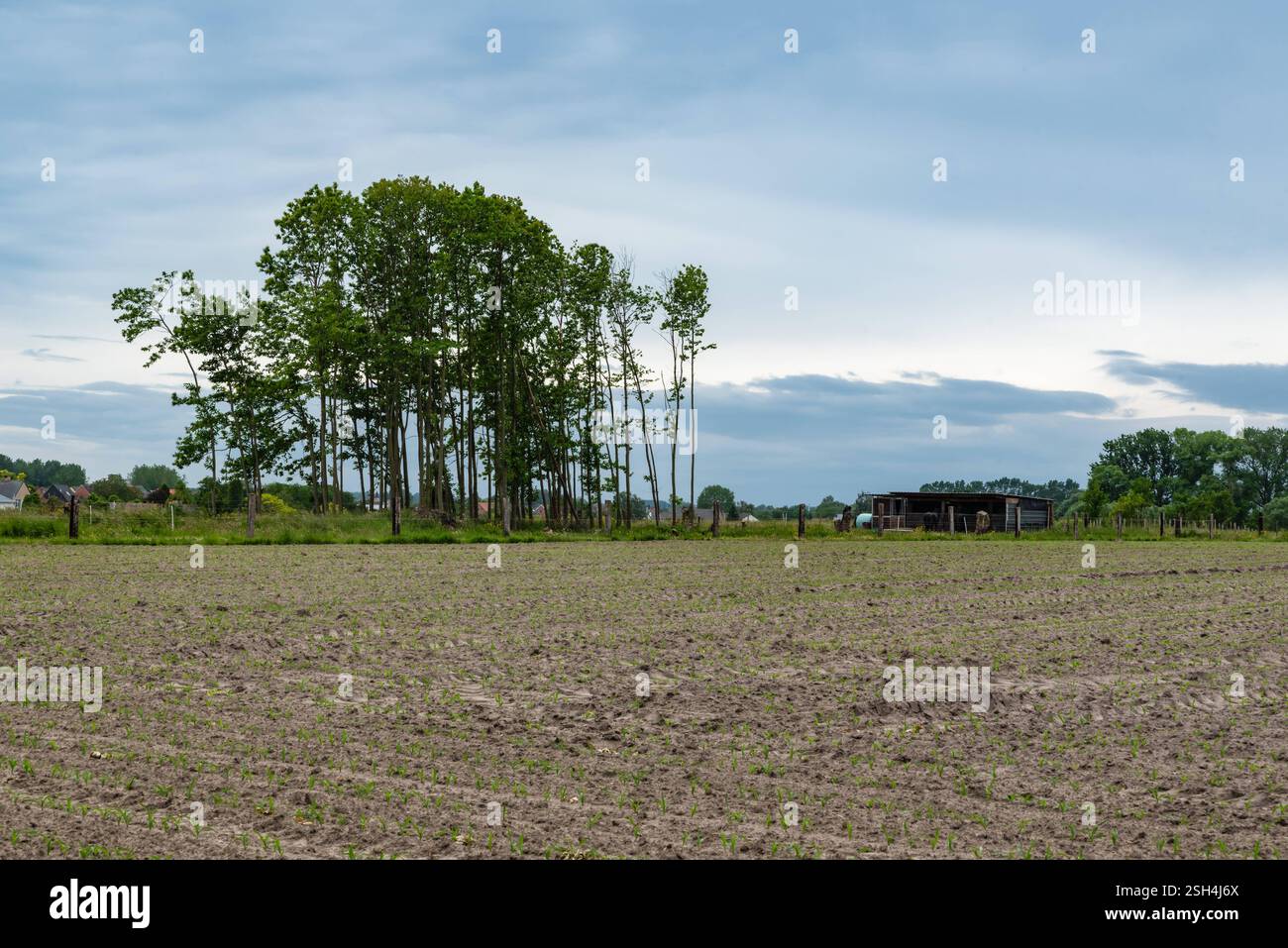 View over the Flemish countryside and agriculture fields around Lebbeke ...