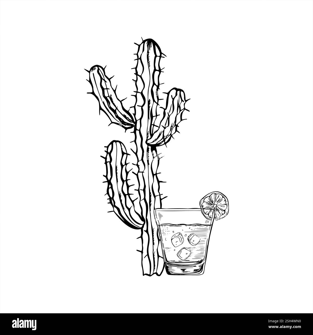 Glass tequila and prickly cactus plant vector illustration painted by ...