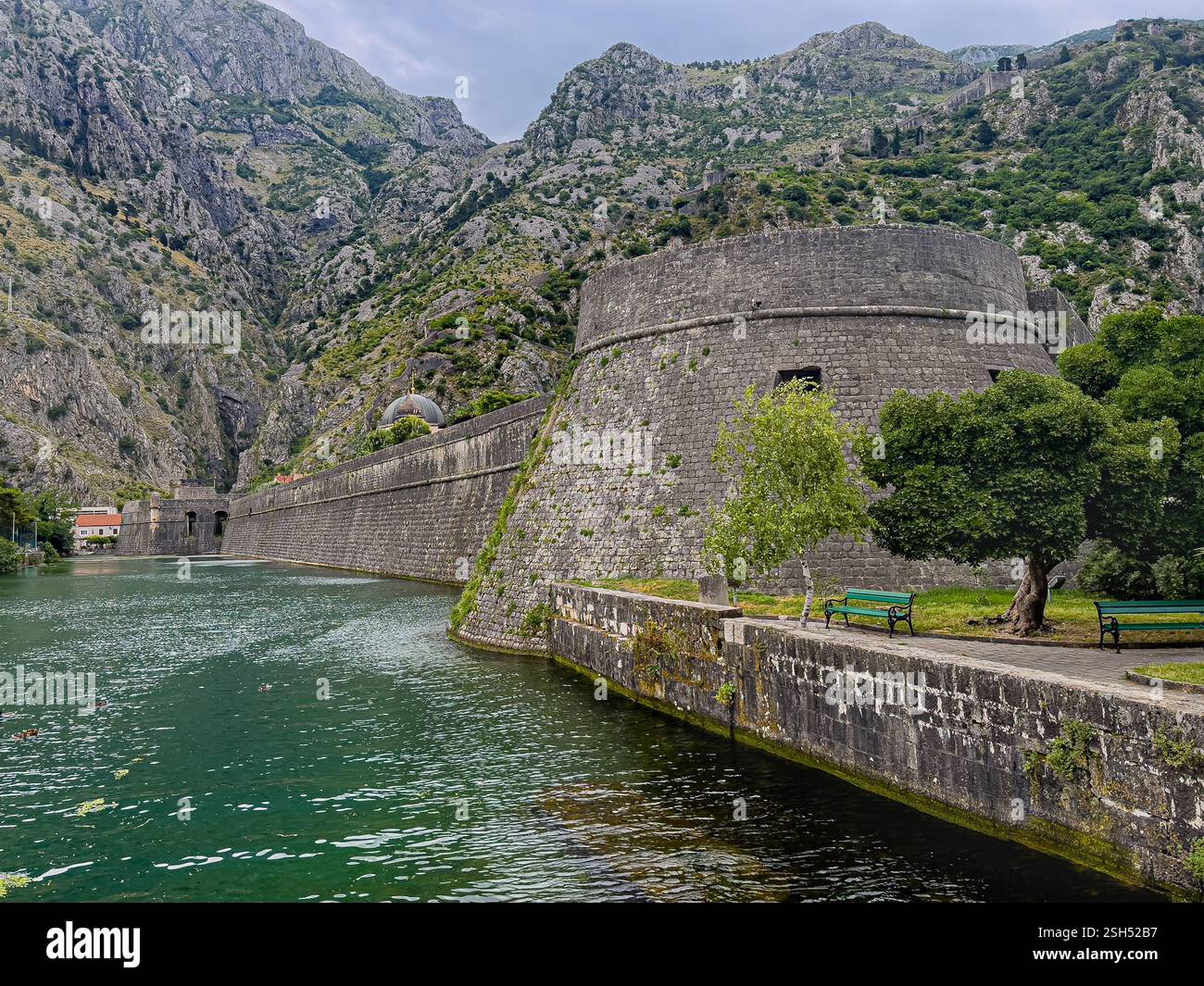 Kotor, Montenegro - July 2, 2024: Ramparts of historic downtown with ...