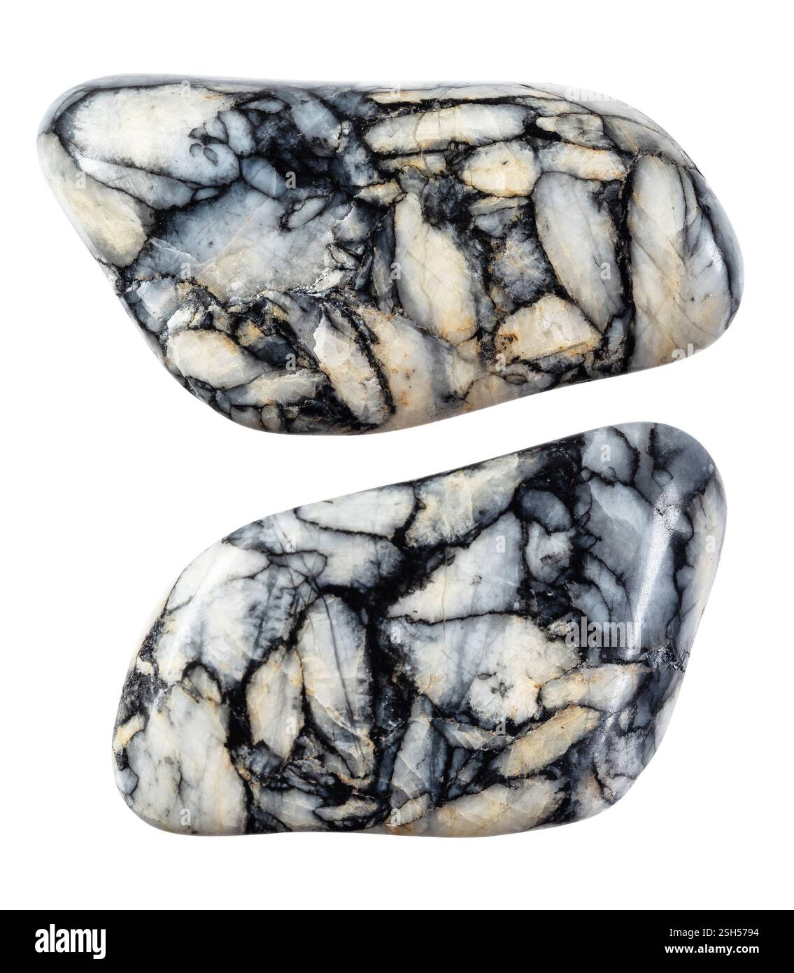 various specimens of uncut pinolite rocks cutout on white background ...