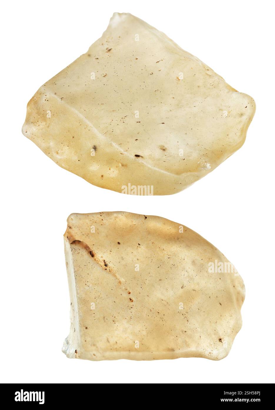 various specimens of uncut libyan desert tektite glass rocks cutout on ...