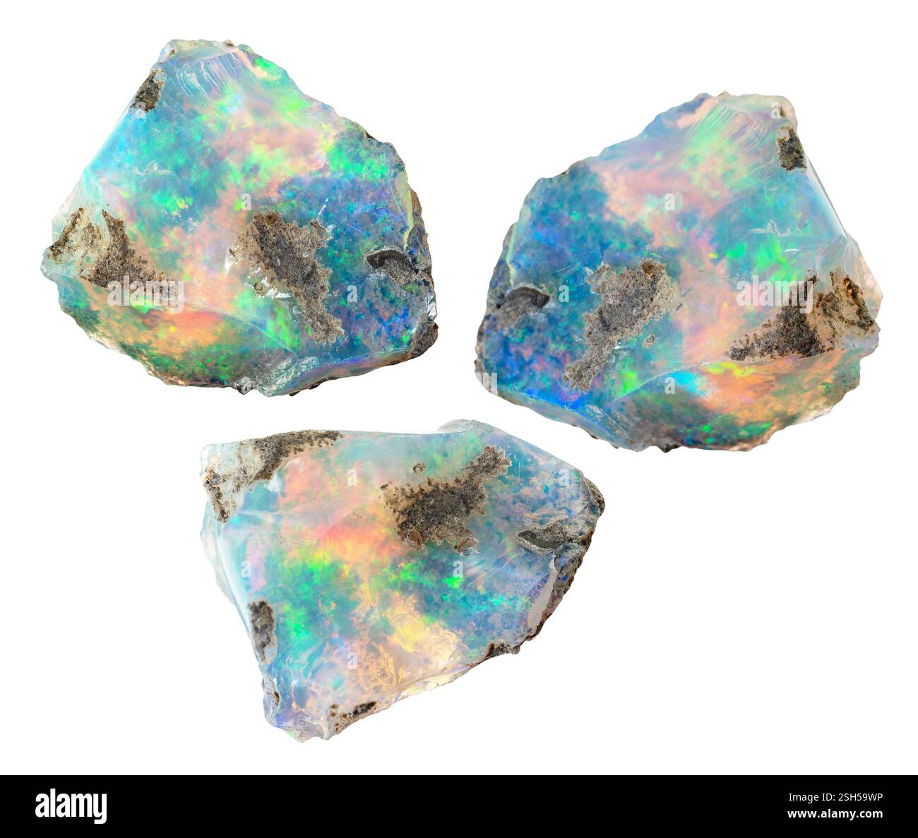 various specimens of uncut ethiopian opal rocks cutout on white ...