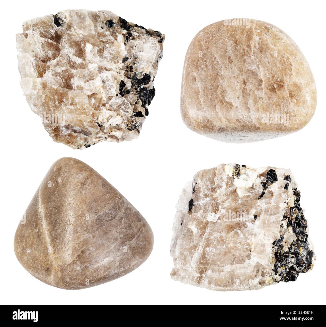 various specimens of uncut cryolite rocks cutout on white background ...