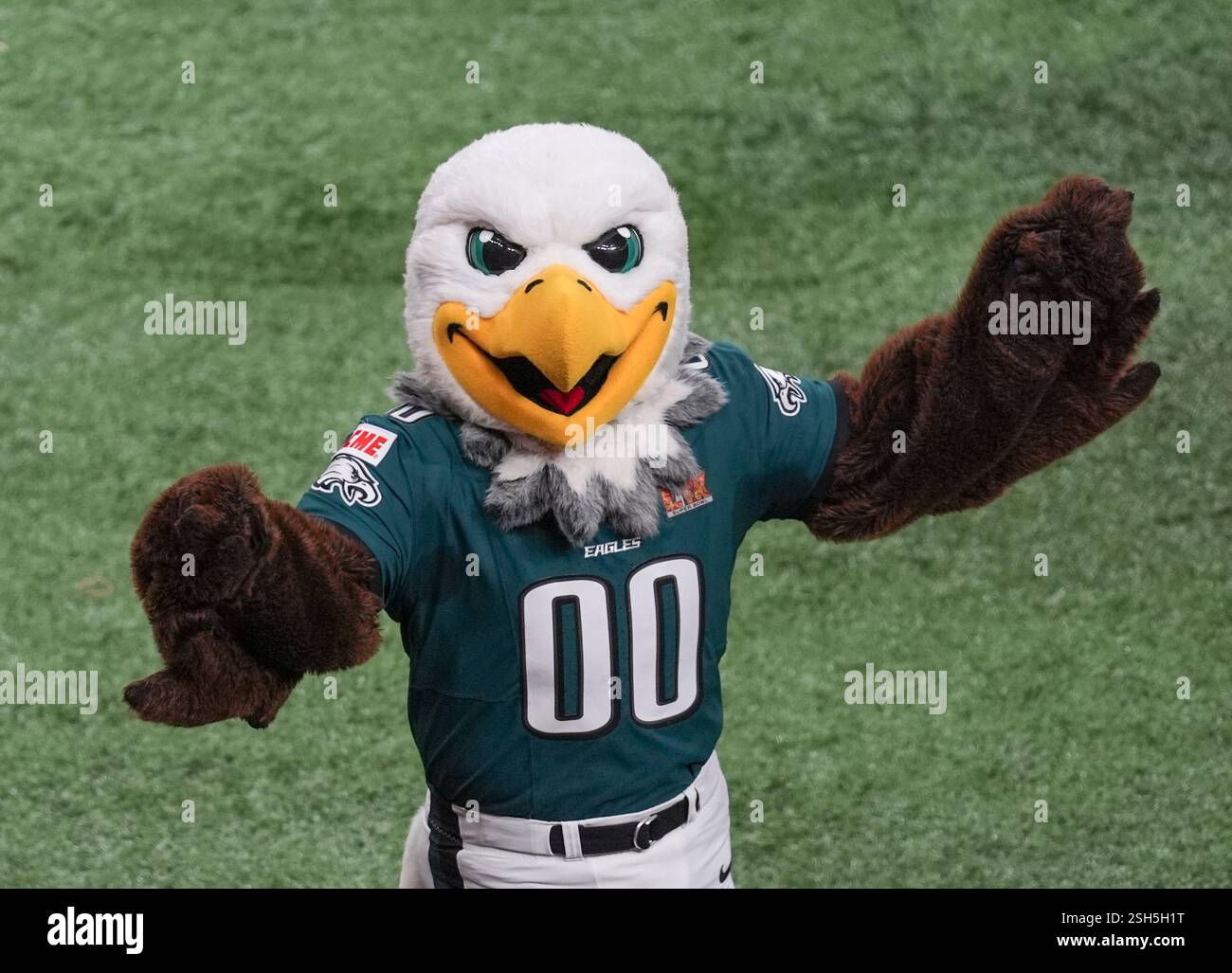 Philadelphia Eagles Mascot Swoop celebrates during NFL Superbowl,Sunday ...
