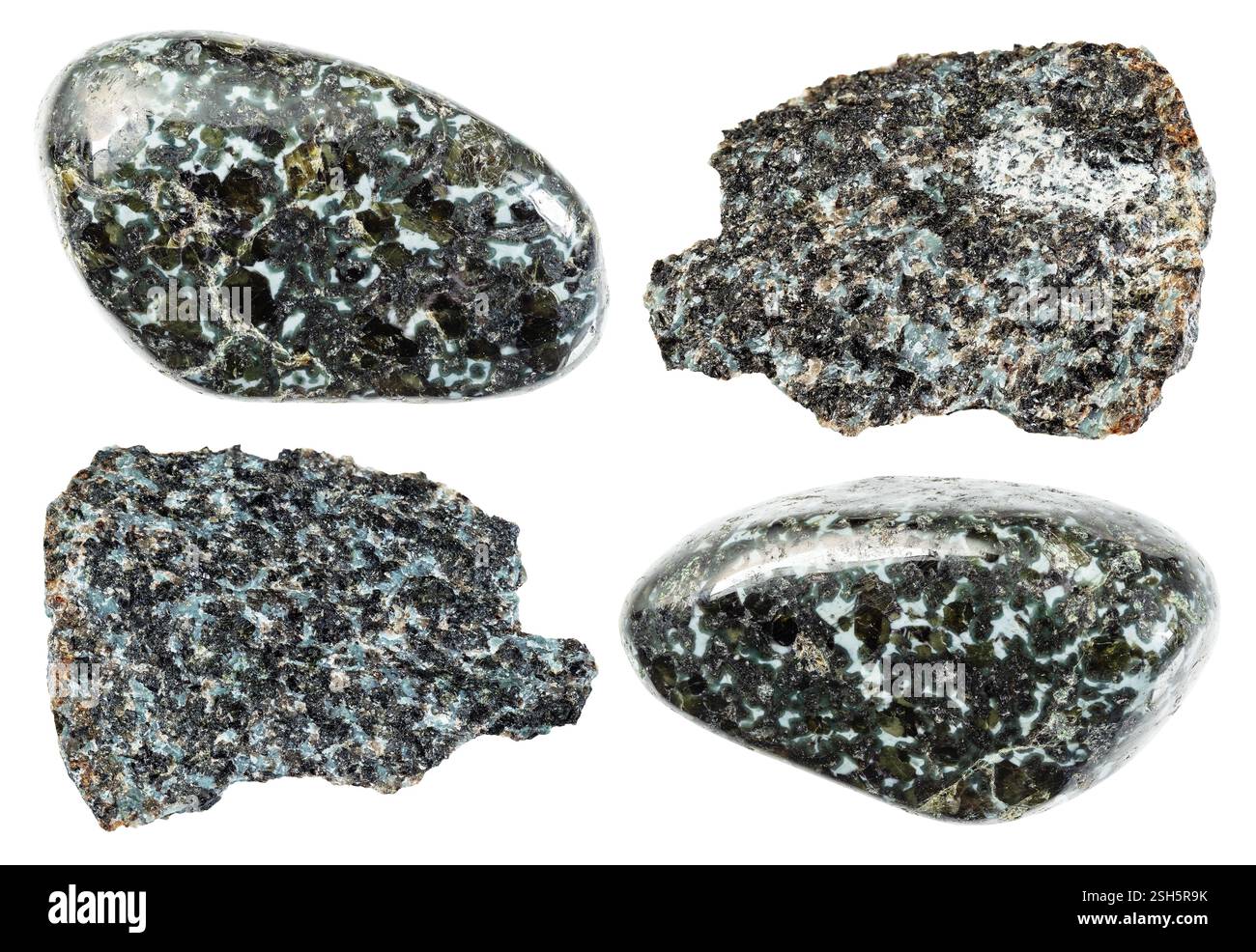 various specimens of uncut gabbronorite rocks cutout on white ...