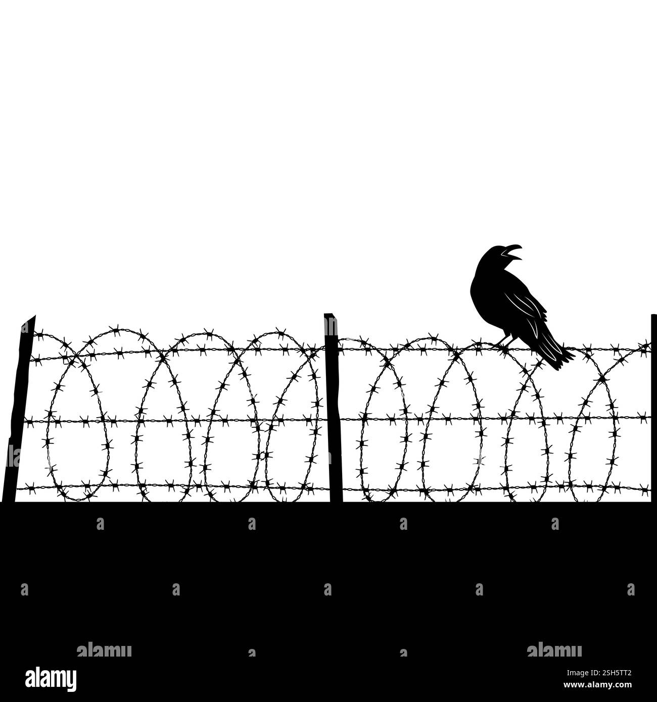 Barbed wire. crow sitting on barbed wire silhouettes. vector prison ...